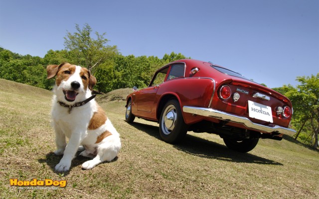 Dogs Love Vintage Hondas | Japanese Nostalgic Car